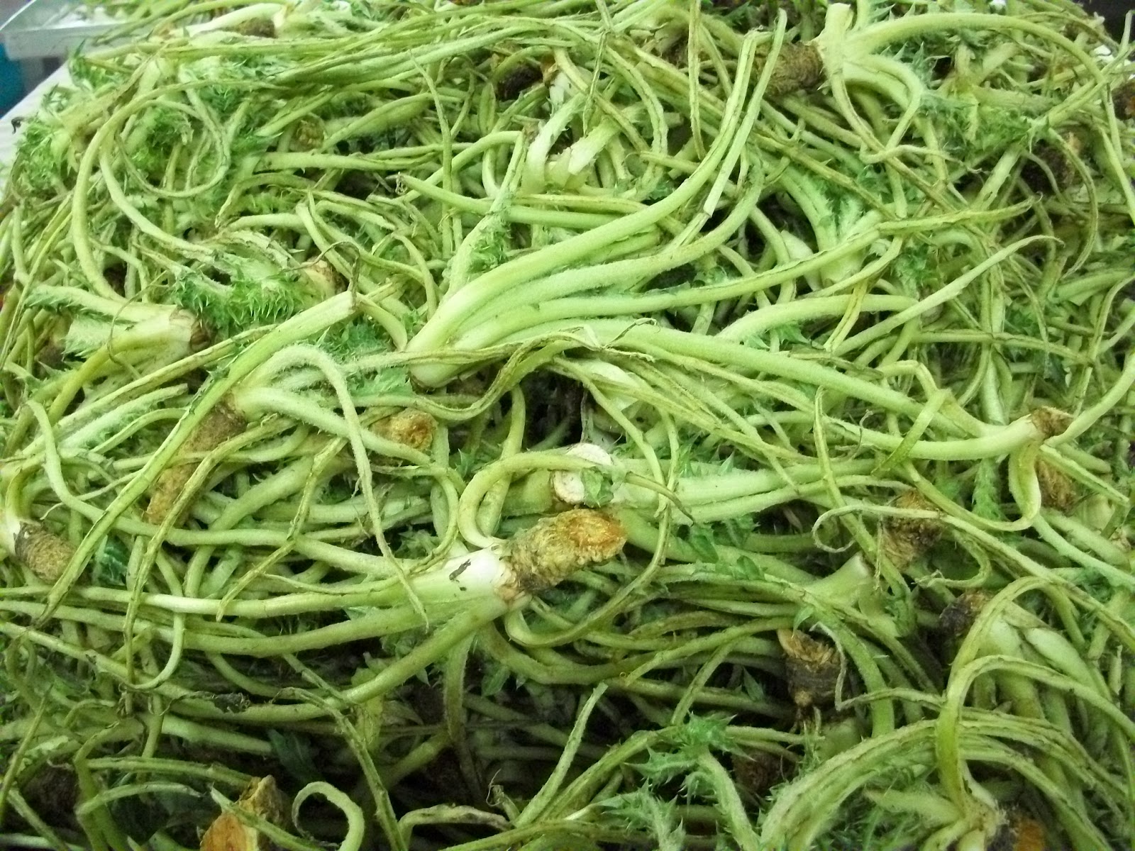 Capunti con cardoncelli selvatici murgiani e salsiccia. | Peppe ai fornelli