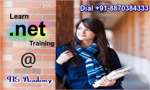 Best It Training Why Learn Dot Net Programming Framework