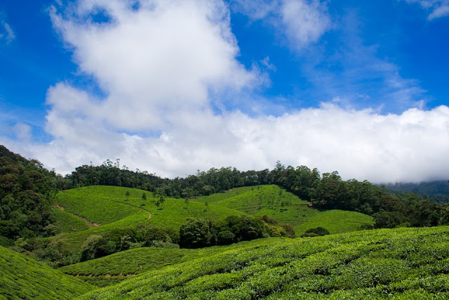 Tamilnadu Tourism: Manjolai Tea Estate, Manjolai Hills