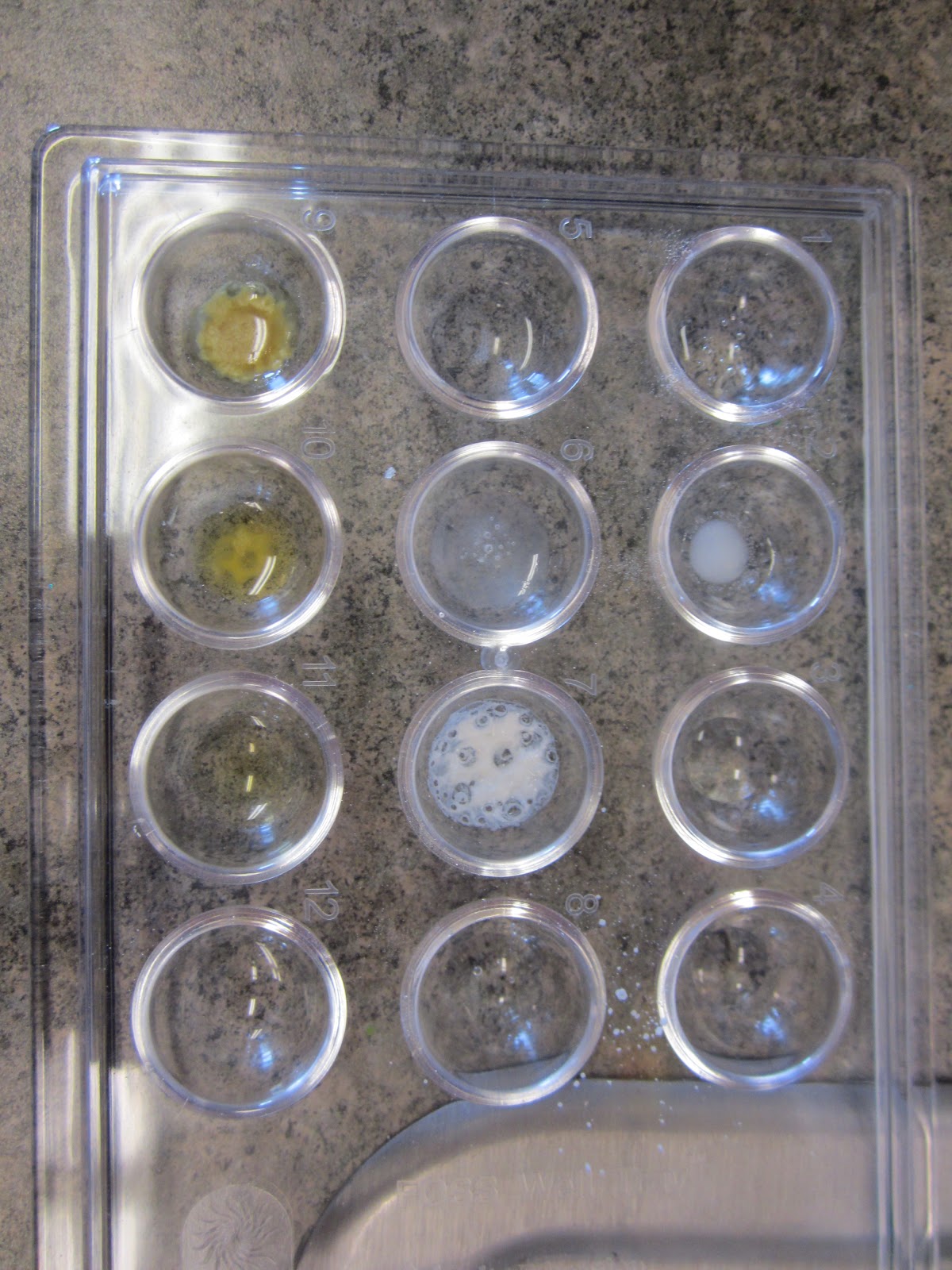 Monhegan Madness: Chemistry!