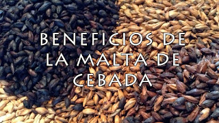 Hierbas y alimentos Guia y Cura de enfermedades: Malta