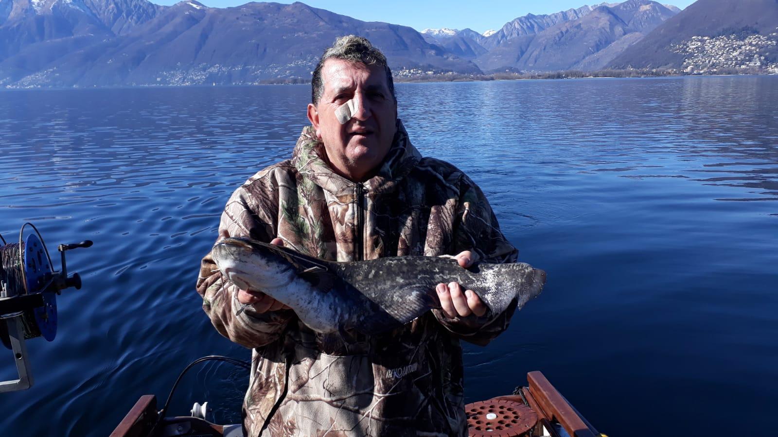 VOCE DEL GAMBAROGNO : Altra pesca grossa nel lago maggiore VOCE DEL GAMBAROGNO : Altra pesca grossa nel lago maggiore
