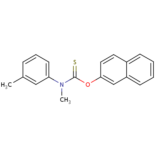 Pharmacology Of Tolnaftate