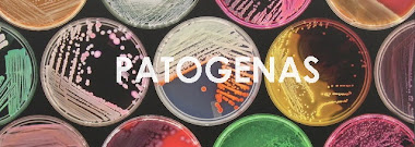 BACTEOROLOGIA: Aprende sobre bacteorologia