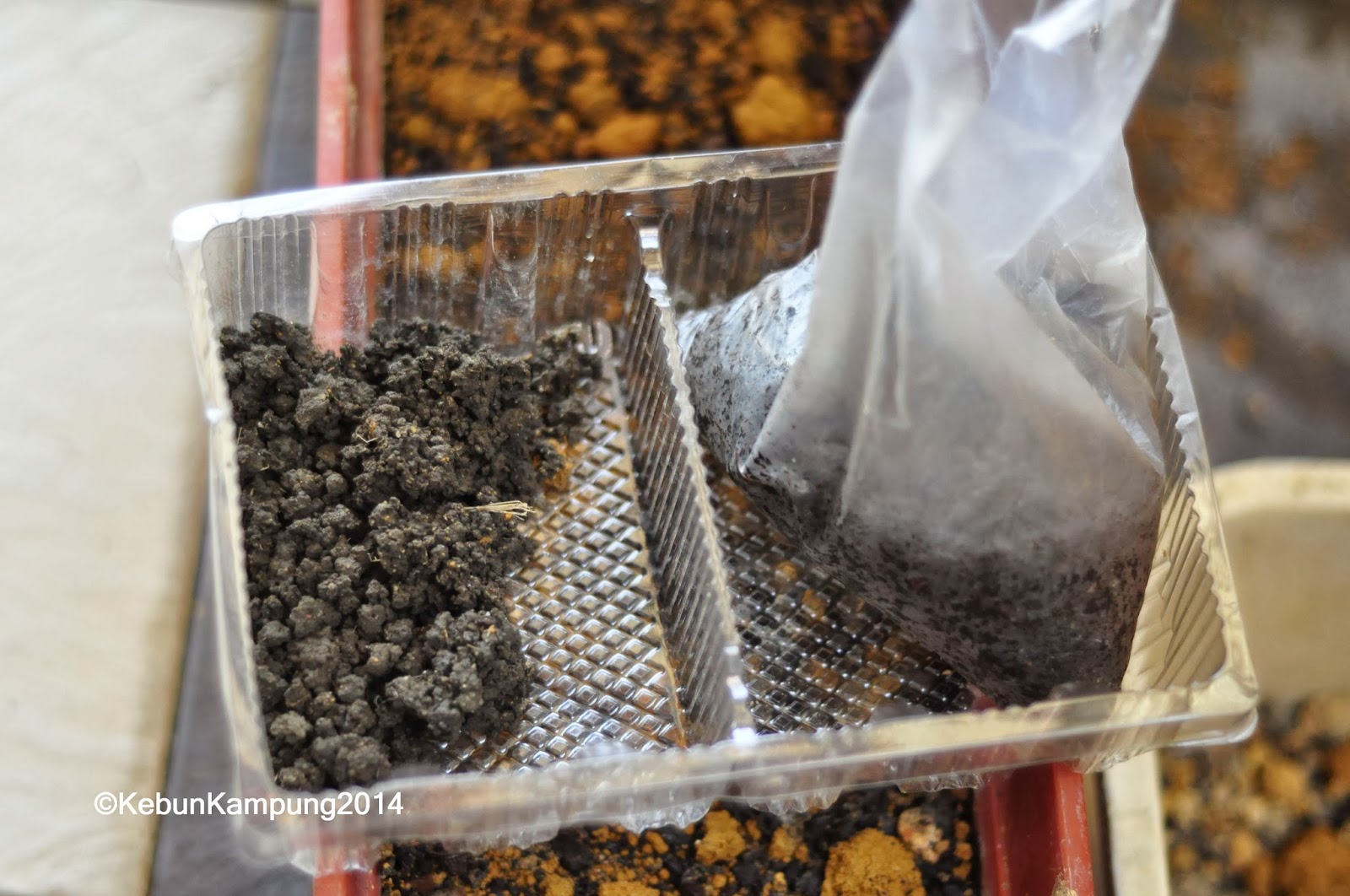 cara bela cacing untuk kompos