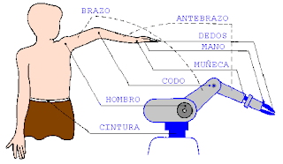Informática: Partes de un Robot