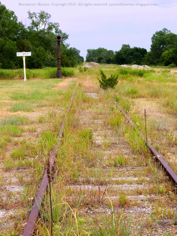 Prairie Bluestem: Beaumont, Kansas: Railroad Town