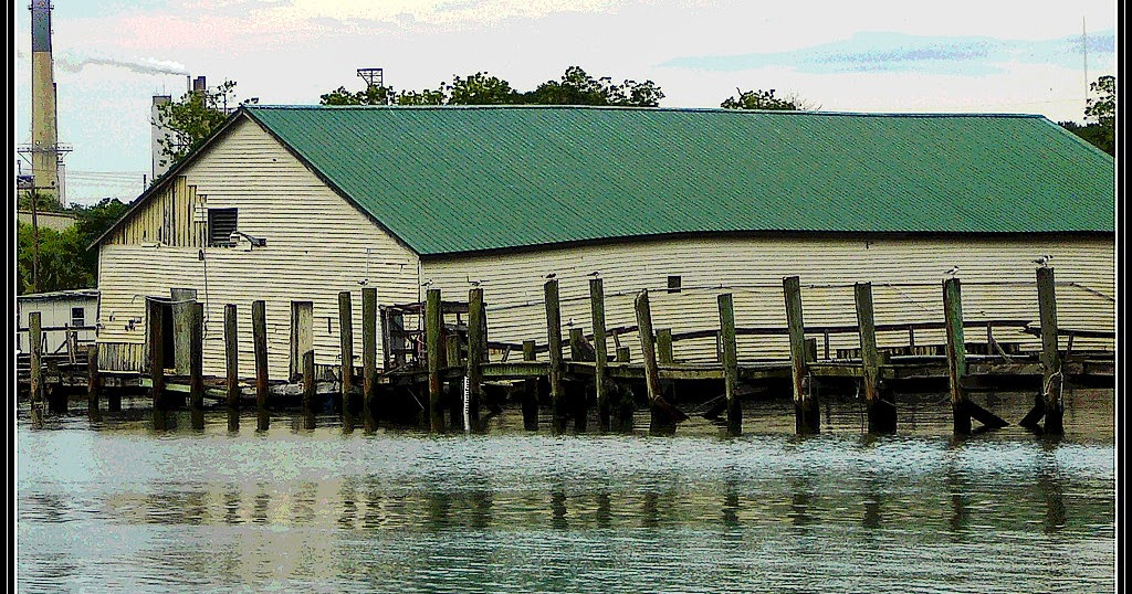 Ocala, Central Florida & Beyond: The Sinking Shed