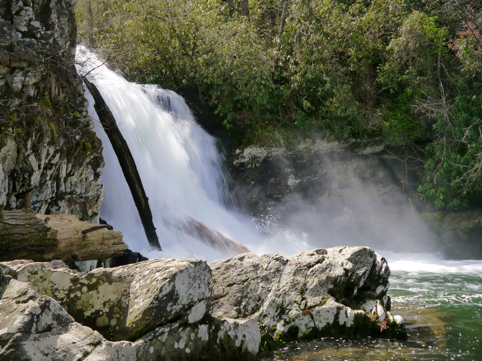 American Travel Journal: Abrams Falls Trail - Great Smoky Mountains ...