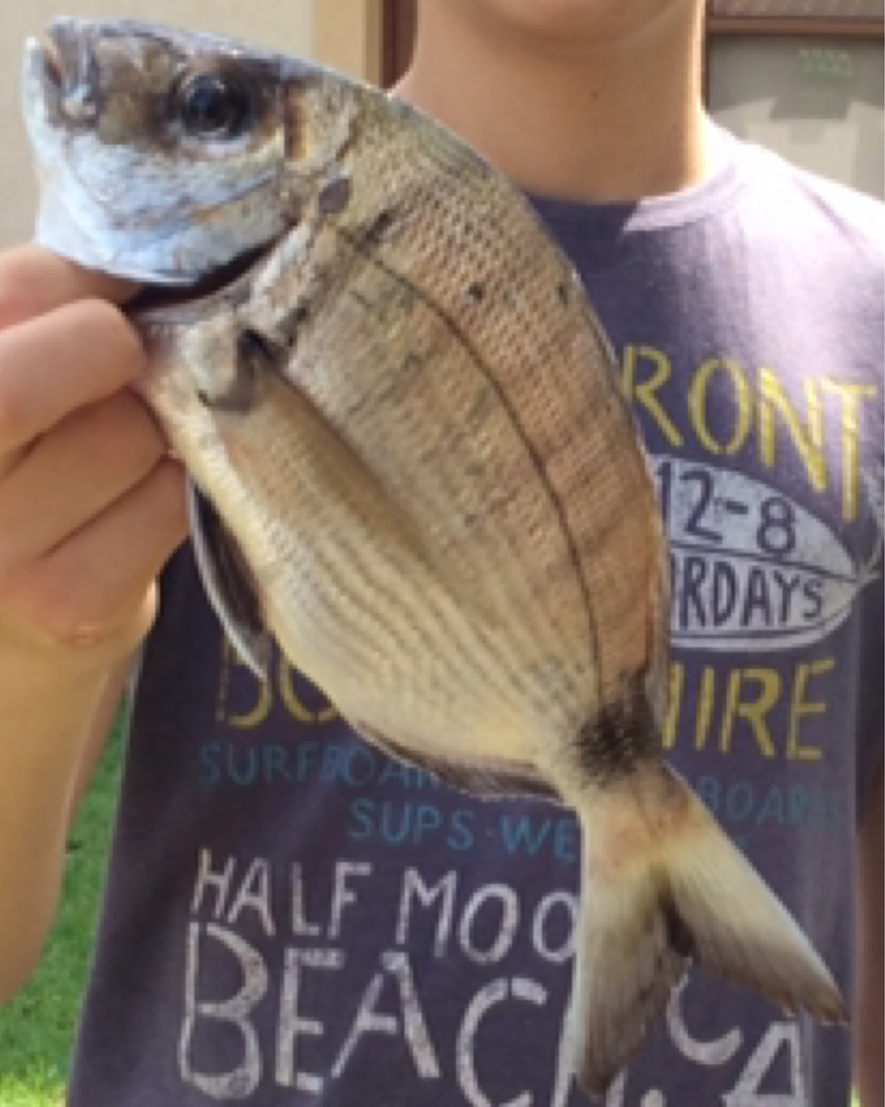 Ψάρεμα στην Κύπρο: Η ΚΑΛΥΤΕΡΗ ΕΠΟΧΗ ΓΙΑ ΤΟ ΨΑΡΕΜΑ ΤΩΝ ΜΕΓΑΛΩΝ ΣΟΡΚΩΝ