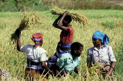 CBSE UGC NET JRF Social Work Exam Notes Study Materials Preparation ...