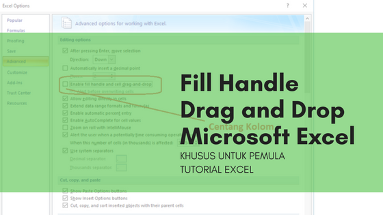 Mengenal Fill Handle Cell Drag And Drop Microsoft Excel