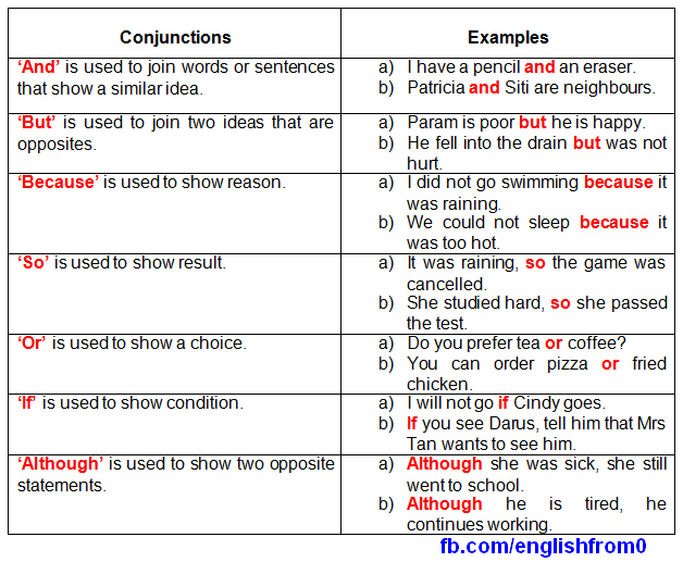 English For Beginners