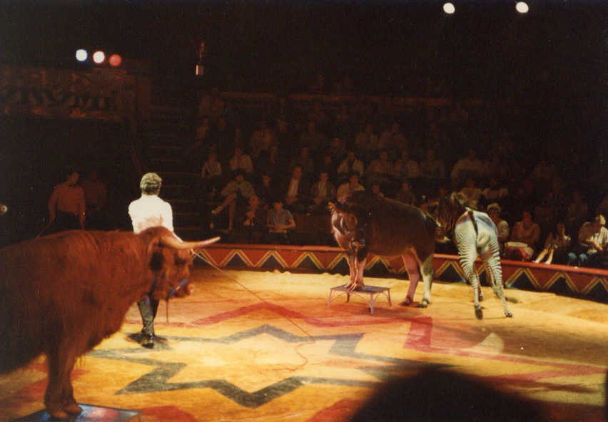 A friend of the Circus