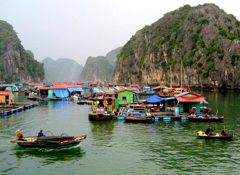 The Flying Tortoise: Vietnam's Floating Villages...