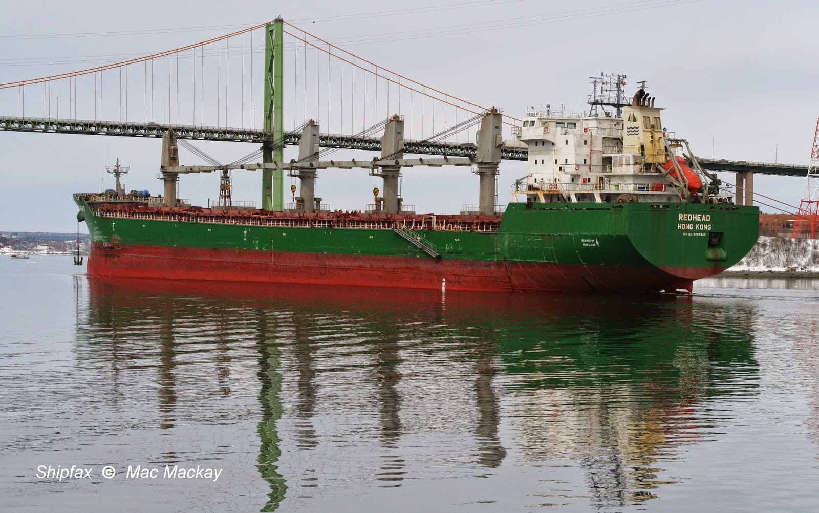 Shipfax: Redhead reaches Halifax