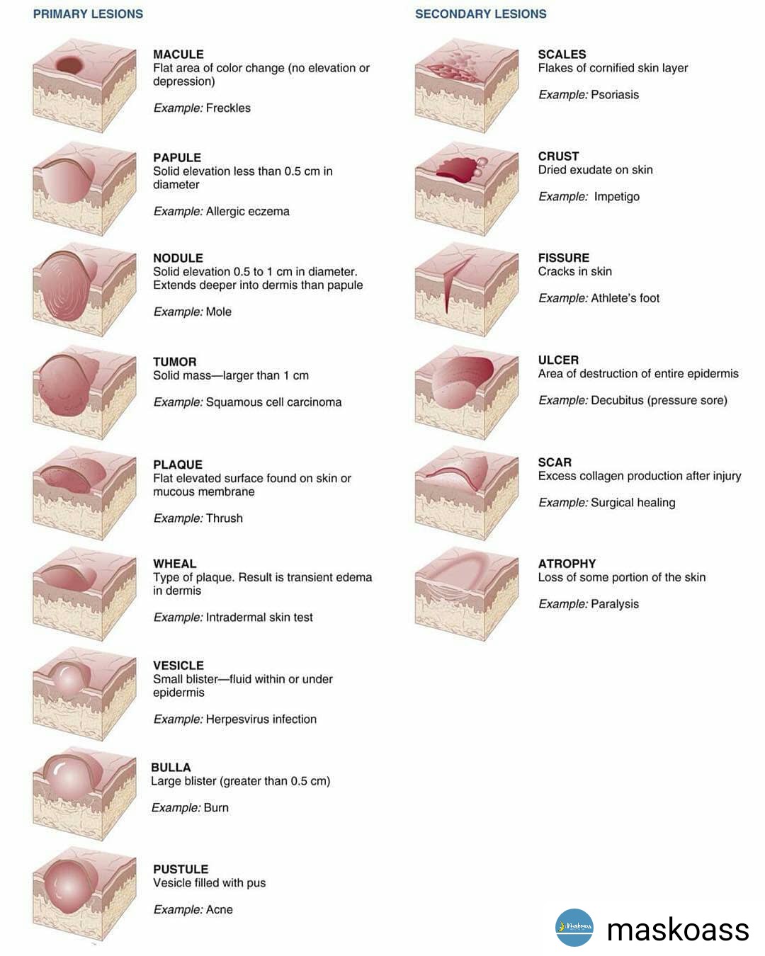 Skin Lesions Types