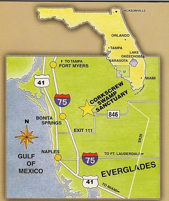 troutbirder: Corkscrew Swamp Sanctuary