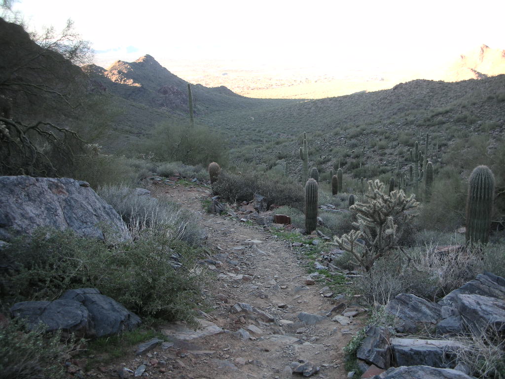 Native Arizonan: Bell Pass Trail in the McDowell Mountain Sonoran Preserve