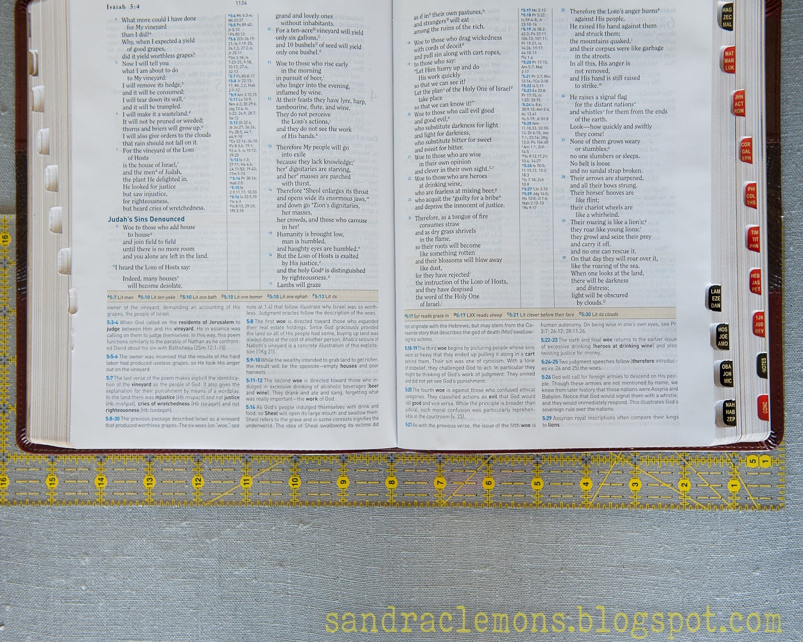 Sandra Clemons: Tutorial Bible Book Cover