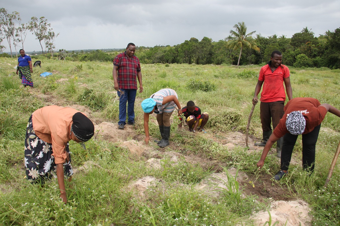 OFISI NZIMA YA MKIKITA WAHAMIA SHAMBANI VIKINDU KUPANDA MCHAICHAI