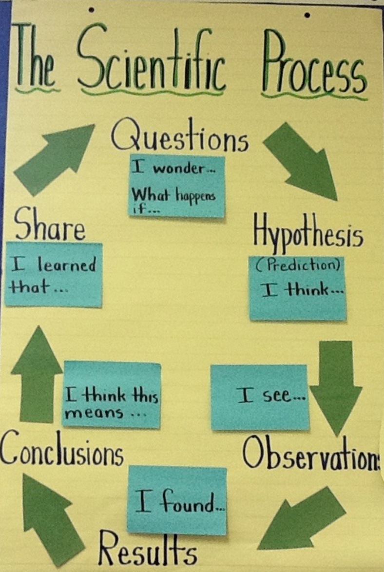 Scientific Method Anchor Chart