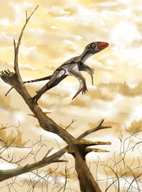 When Europe Was An Ocean: Dawn of Dragons: The life and ecology of ...