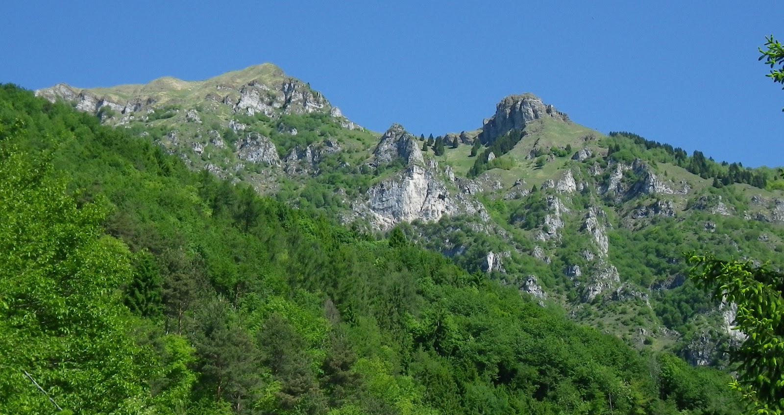Cycling Dolomiti Friulane: Bosco delle Penne Mozze