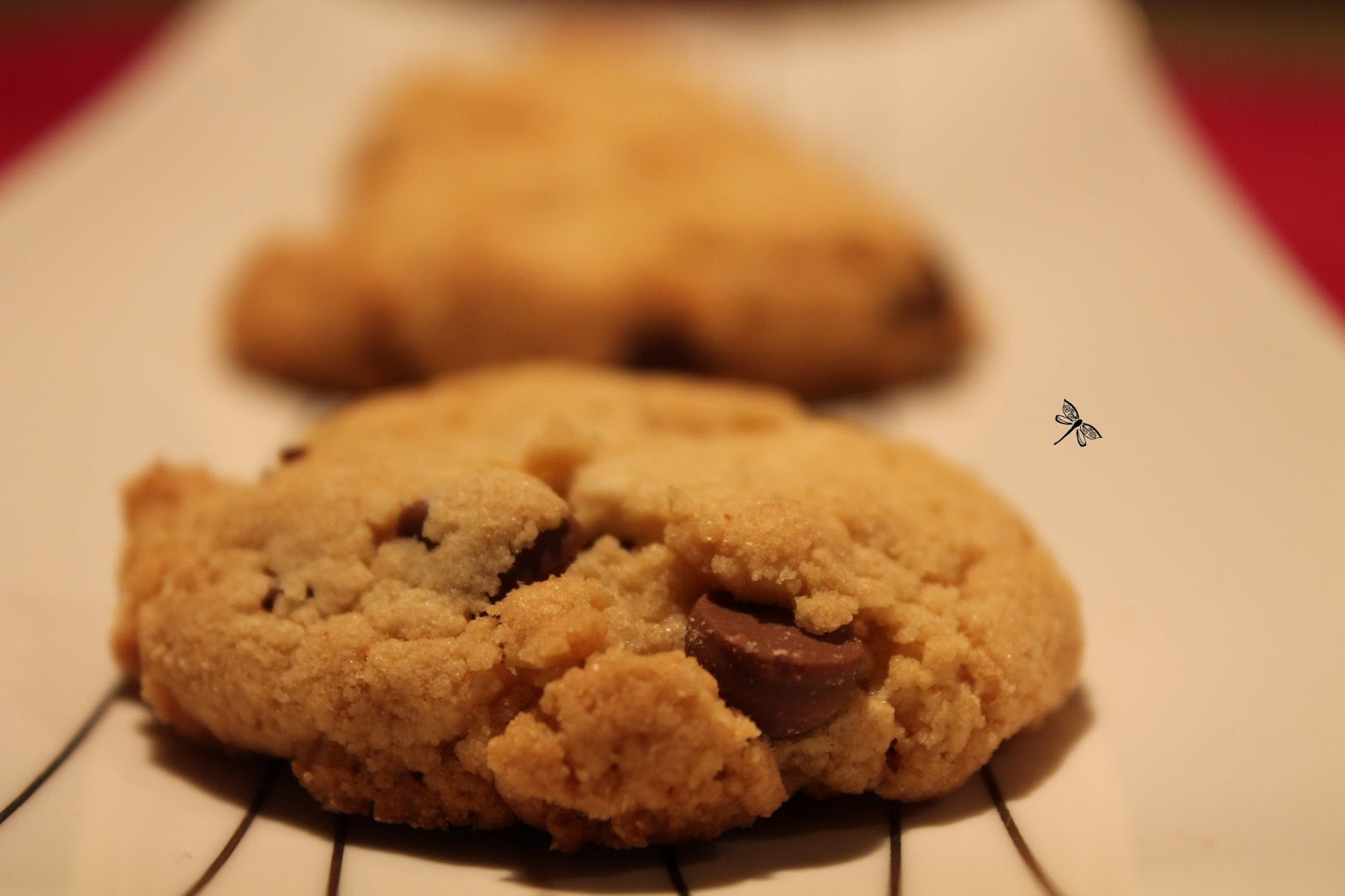 Libellule et ses spatules: Biscuits croquants aux brisures de chocolat