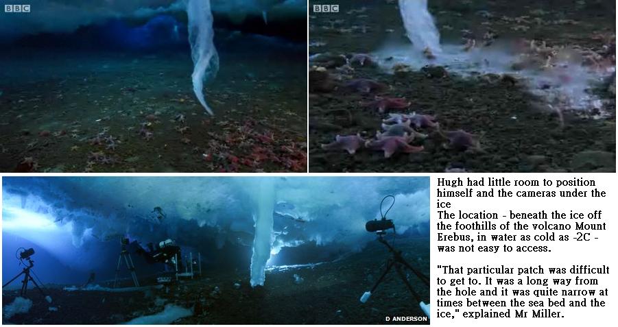 舞菇的電子繪本藏書閣: 死神的手指~'Brinicle' ice finger of death