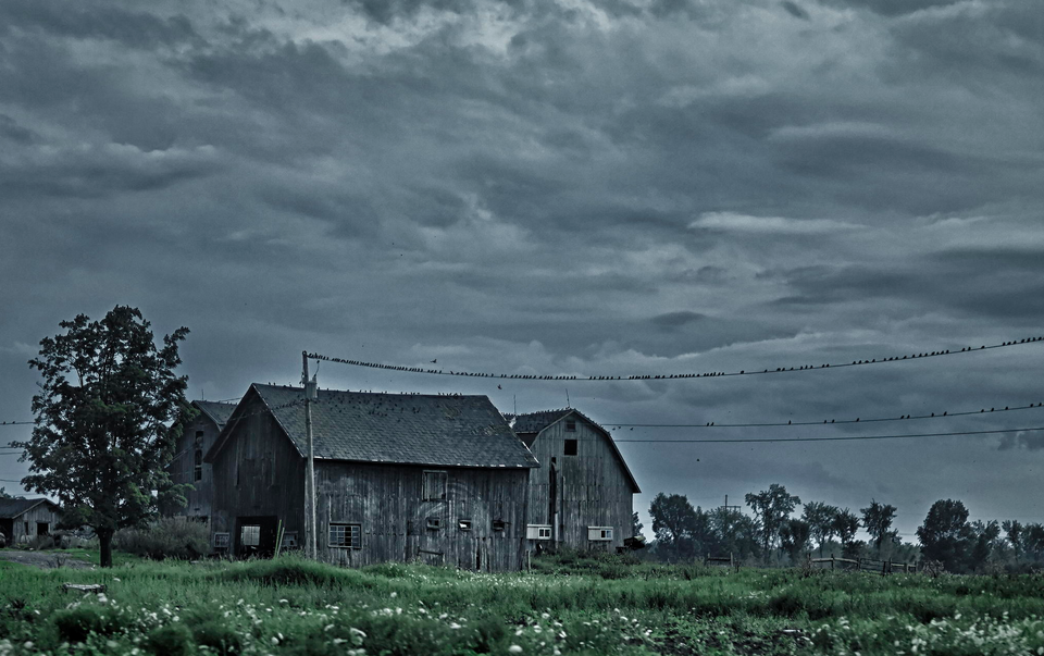 Slike | urbane legende,istinite strasne price i ukleta mesta