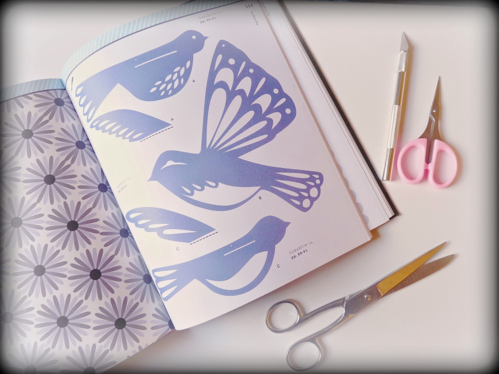 Miss Papelitos: Papercut...