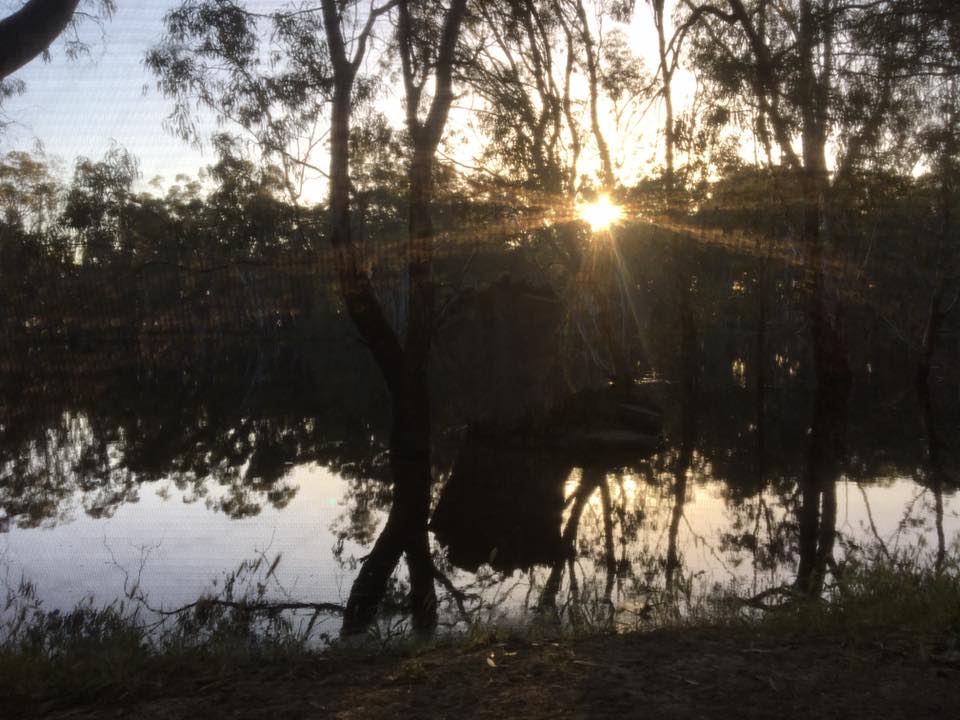 Murray River Kayak.: Murray river Paddle 2016 Day 18 Barham - Benjaroop