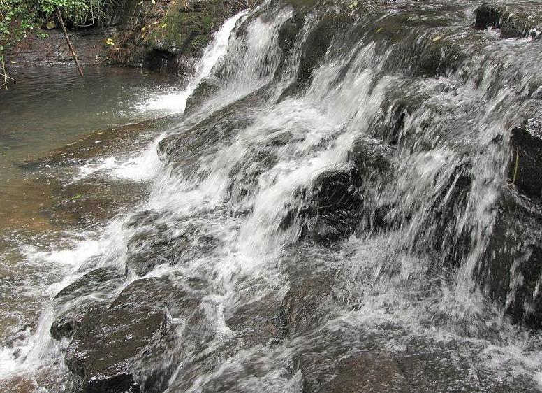 Tamilnadu Tourism: Pambar Falls (Liril or Vatakanal), Kodaikanal