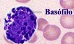 tsanitaris: La sangre