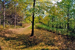 Day Hiking Trails: Trails abound at Moose Lake State Park