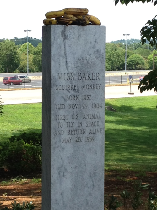 Dead Interesting: Poor Miss Baker