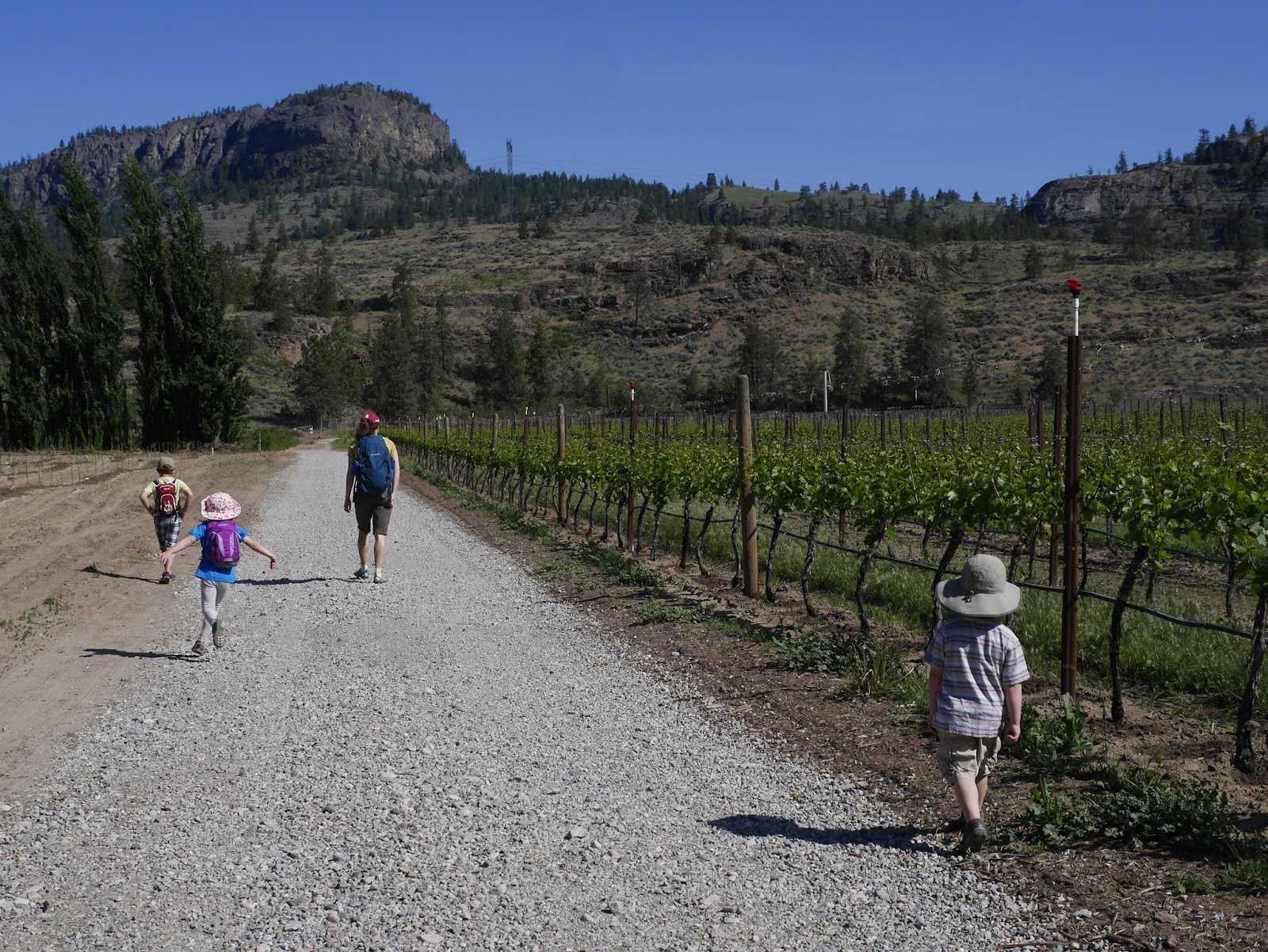 Hiking McIntyre Bluff – Backwoods Mama