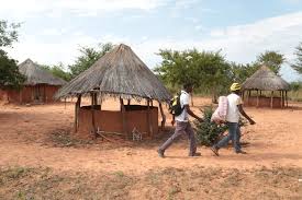 BINGA CEO ARRESTED FOR ABUSE OF OFFICE newsdzeZimbabweNewsdzeZimbabwe