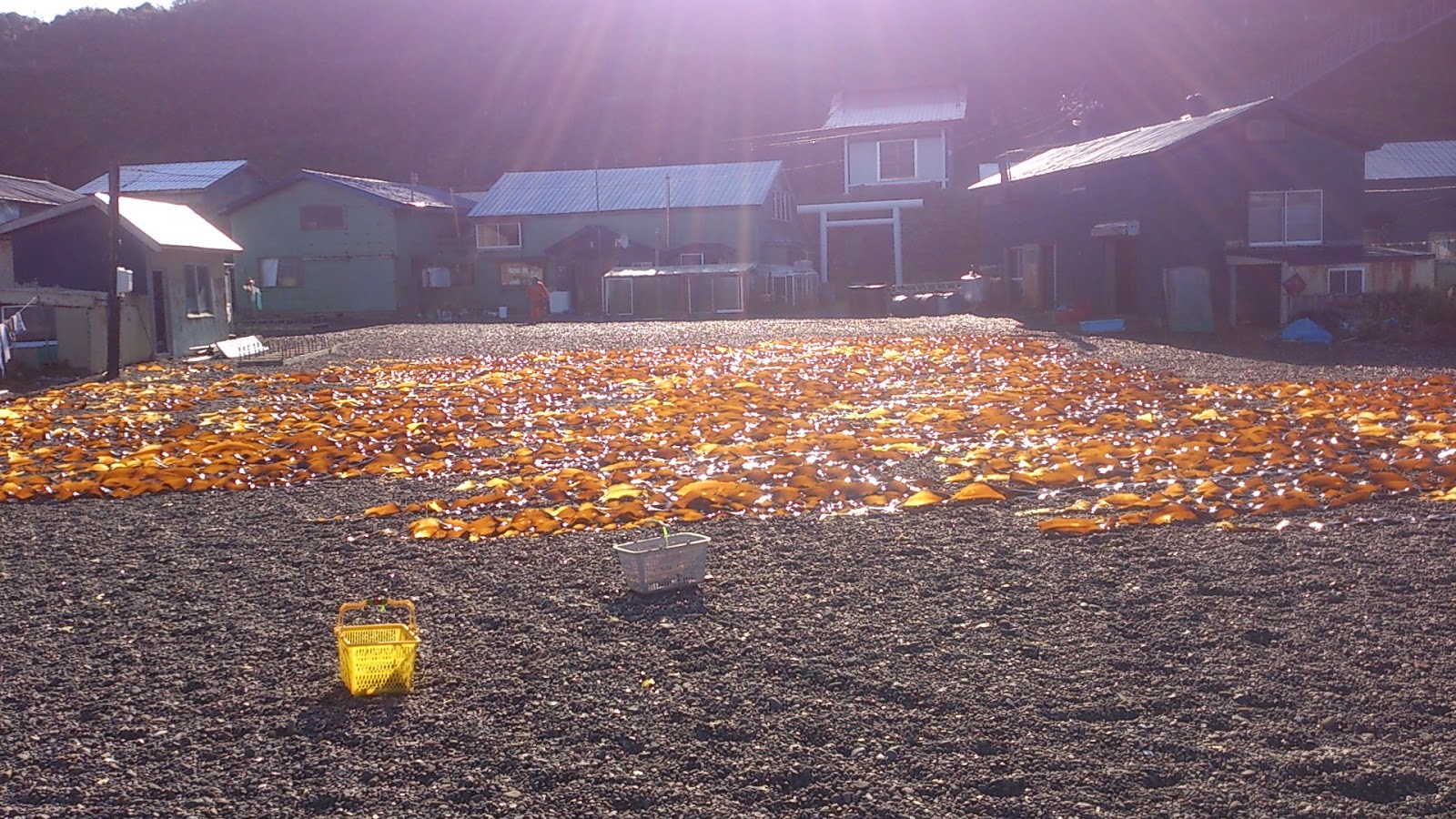 talk-hokkaido: The last day on the small island "Kojima"