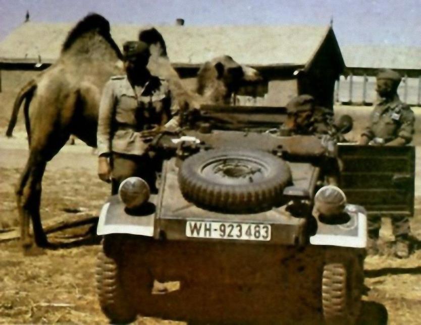 Third Reich Color Pictures: Animals of the Third Reich in Color