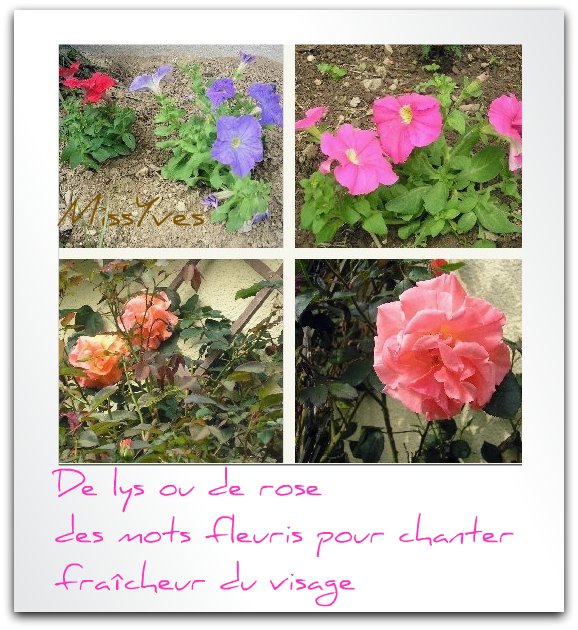 Photograff: juin 2013