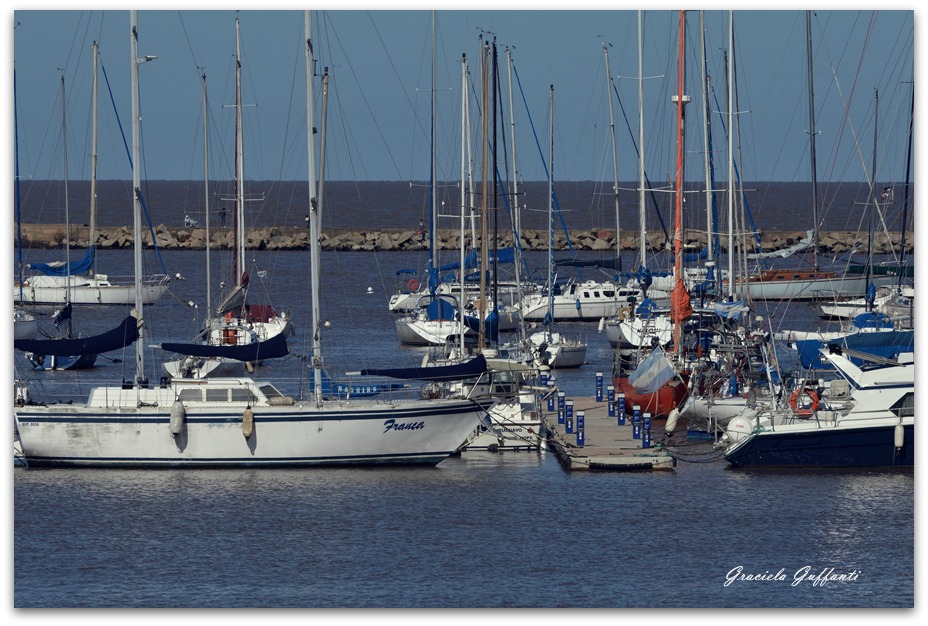 Puerto del Buceo. Montevideo. Uruguay.