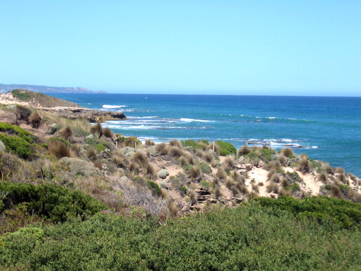 TRACKS, TRAILS AND COASTS NEAR MELBOURNE : Bridgewater Bay ...