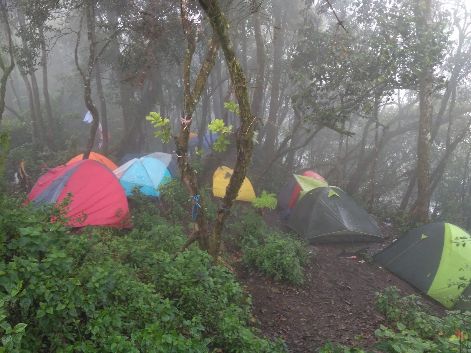 Puncak Mega Gunung Puntang 2222 Mdpl di Bandung Selatan