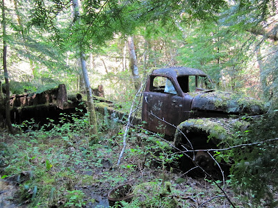 Powell River Quad Rides: Chip North to Theodosia Inlet