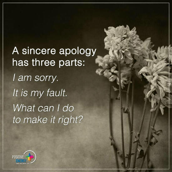 Sincere Apology Has Three Parts I Am Sorry It s My Fault What Can I sincere-apology-has-three-parts-i-am-sorry-it-s-my-fault-what-can-i