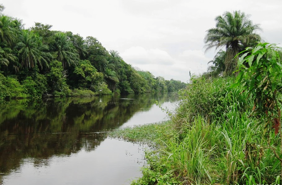 tropicalia: "baía e cidade do enclave de Cabinda"