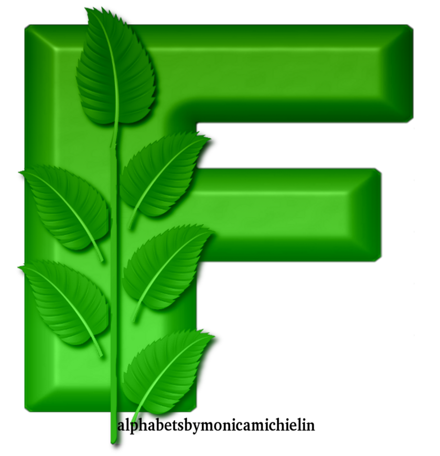 M. Michielin Alphabets: ALFABETO FOLHAS VERDES, GREEN LEAVES ALPHABET