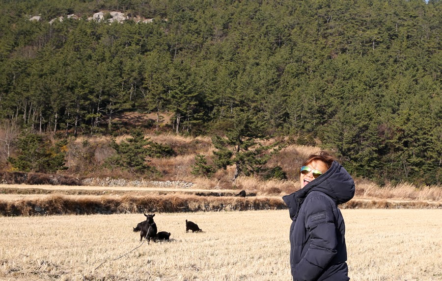 baa baaa black goat - Theheyheyhey